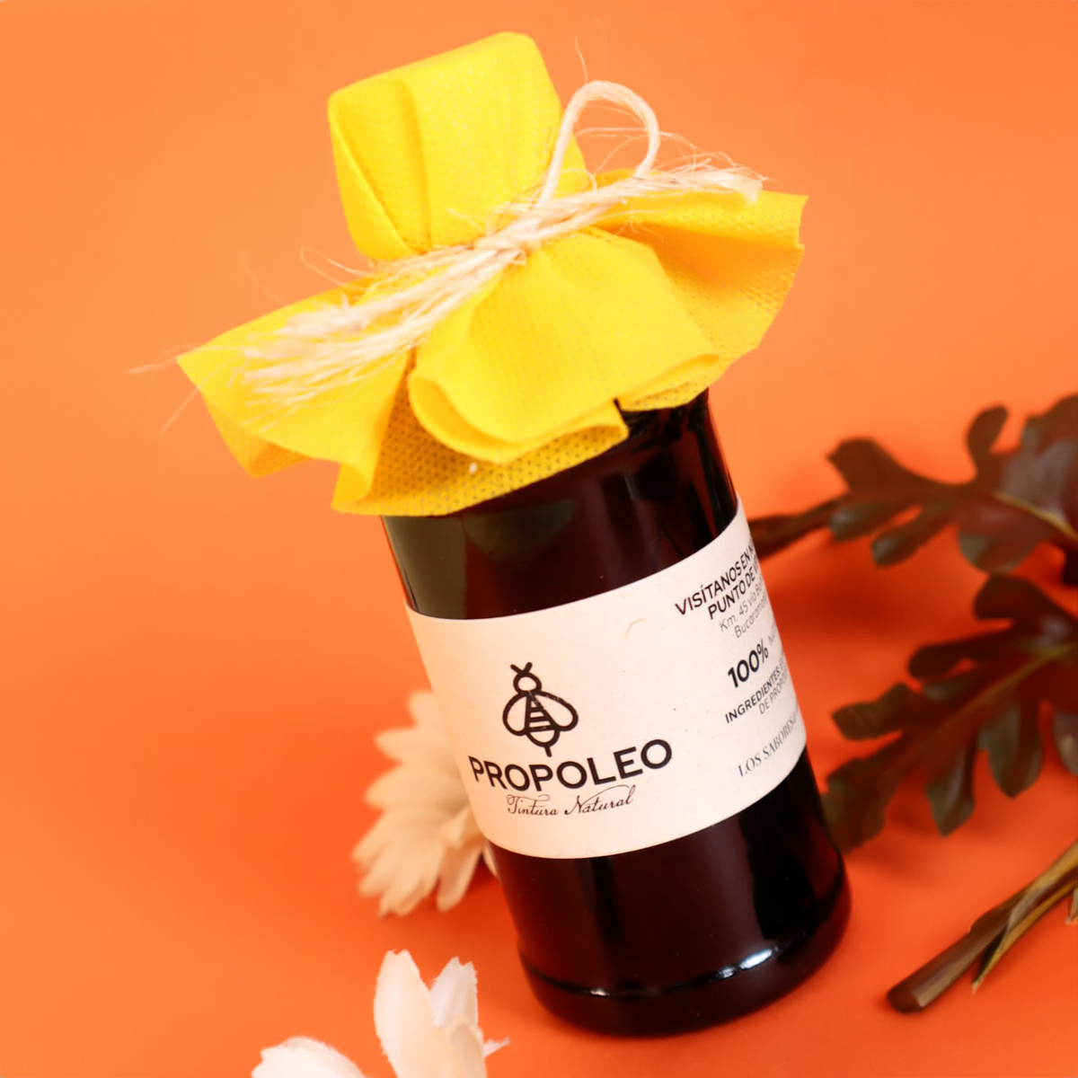Propóleo Natural 330gr – CasetejaSantander